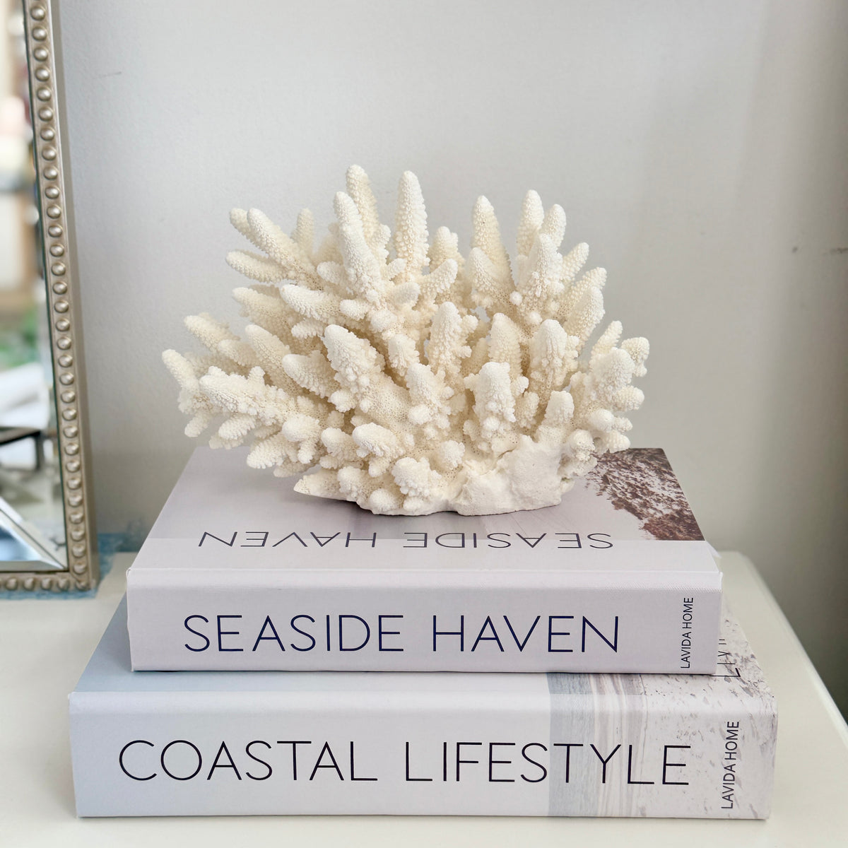 Upright Large Specialty Finger Coral – LUXE FURNITURE & HOMEWARES